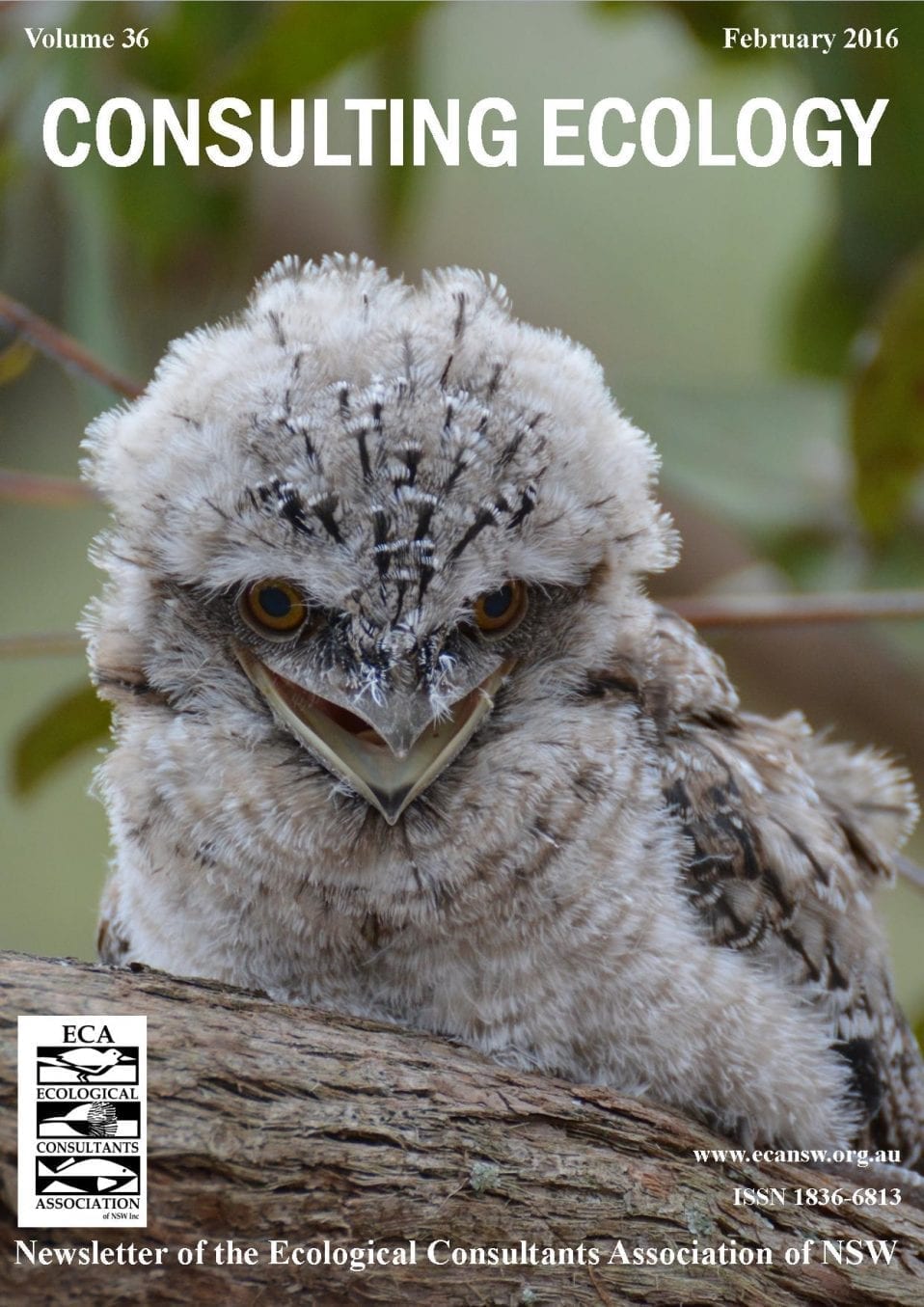 Volume 36 – February 2016 | The Ecological Consultants Association of NSW